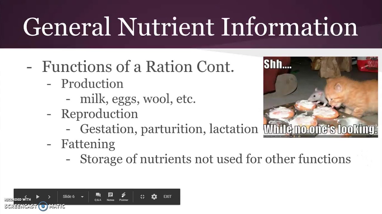 7 01 Functions of a Ration - YouTube