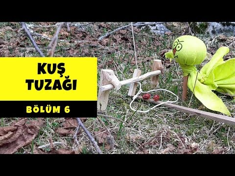 KUŞ Tuzağı nasıl kurulur? (Bird trap)