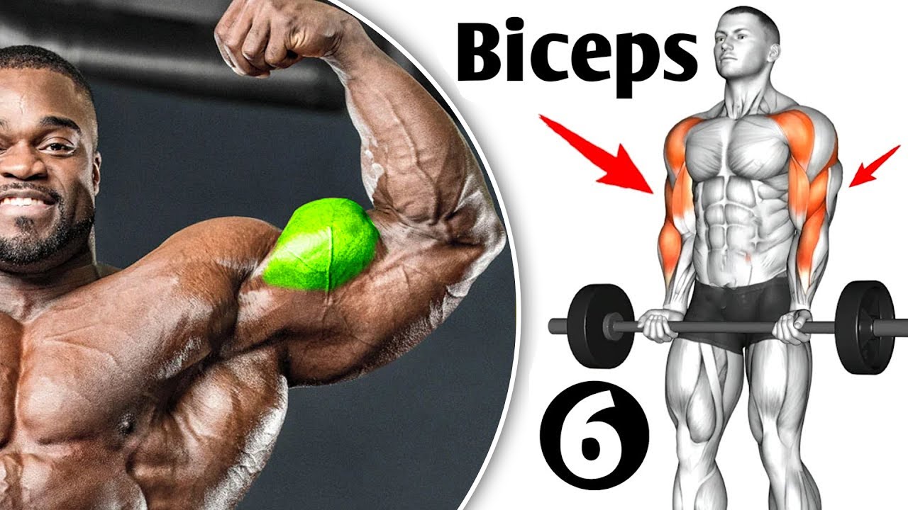 7 BEST EXERCISES (BICEPS WORKOUT) - YouTube