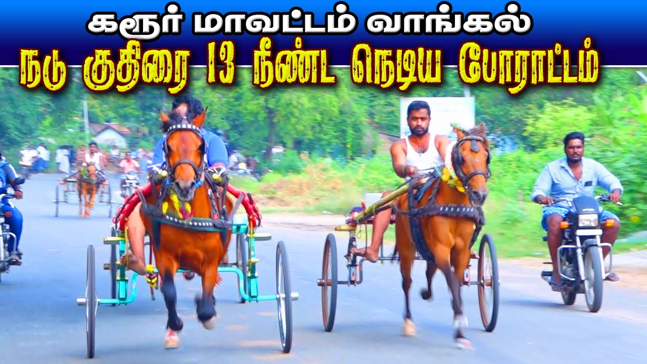 44inch குதிரை வாங்கல் கரூர் மா 26/11/2022 44inch kuthirai Vangal karur ...
