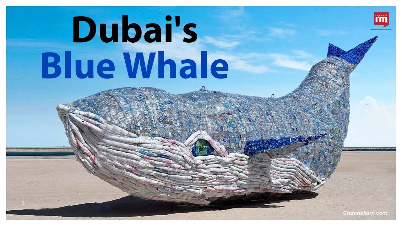Plastic Whale Sculpture Shines Spotlight on Sustainable Practices in ...