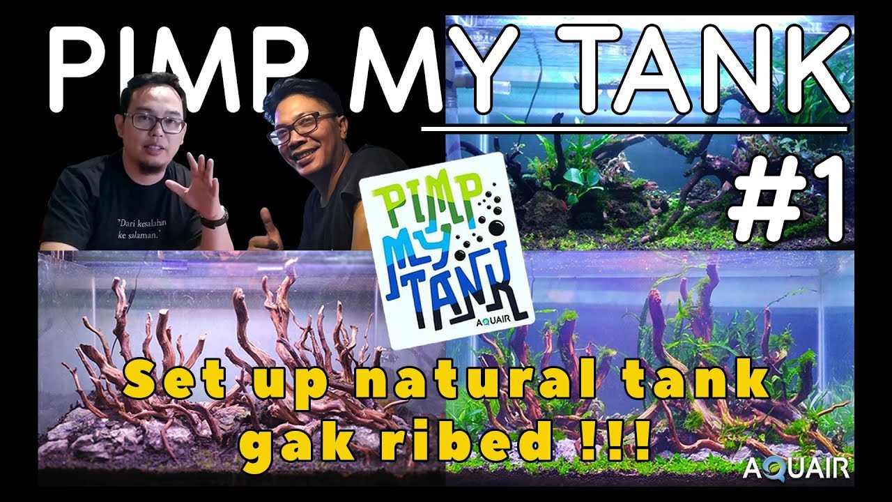 Pimp My Tank#1 Set Up Natural Aquascape Mudah dan Murah - YouTube