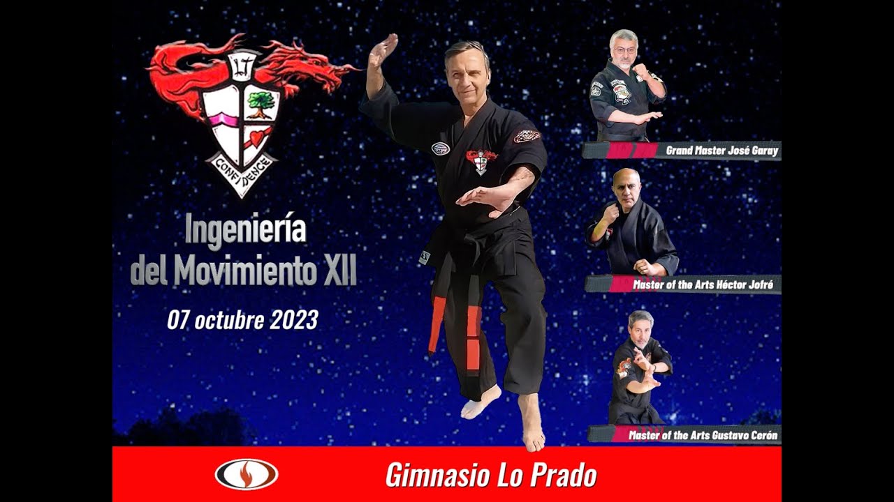 Ingeniería del Movimiento XII Sergio Contreras 10º Dan.. Grand Master ...