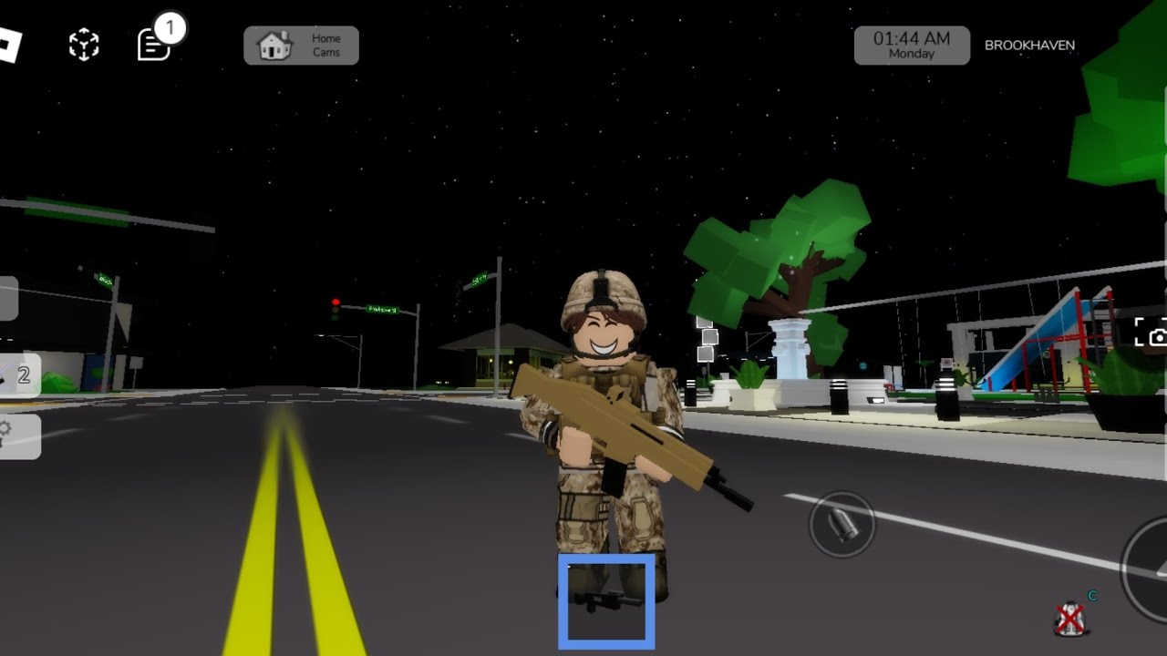 Brookhaven: Shooting People With Guns #roblox - YouTube