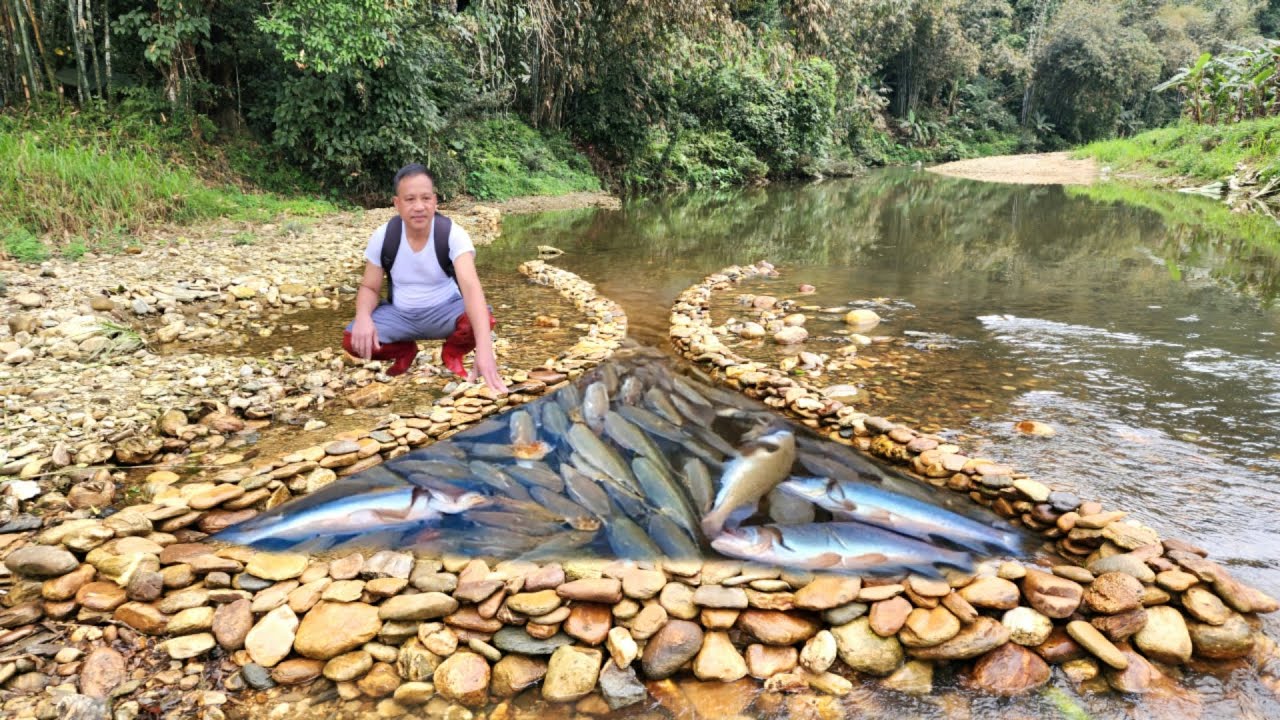 How to stack rocks to create a unique fish trap in the stream. Big fish ...