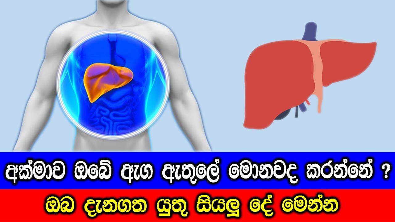 අක්මාව ඔබේ ඇග ඇතුලේ ඉඳන් මොනවද කරන්නේ ? - YouTube