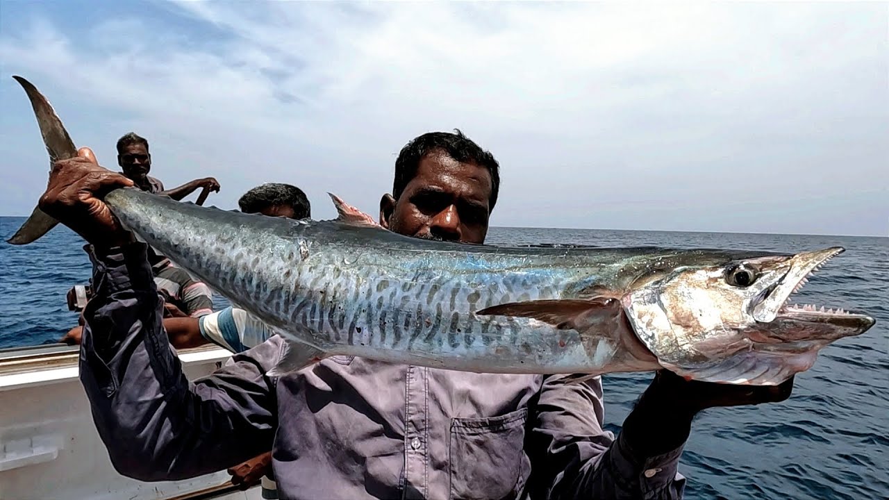 Catching King Fish & Bonito Fish in the Deep Sea - YouTube