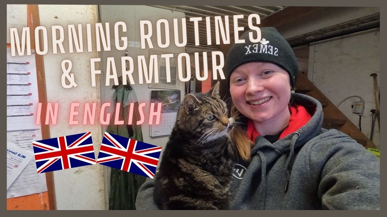 Dairyfarm in Sweden - Morning routines and tour - YouTube