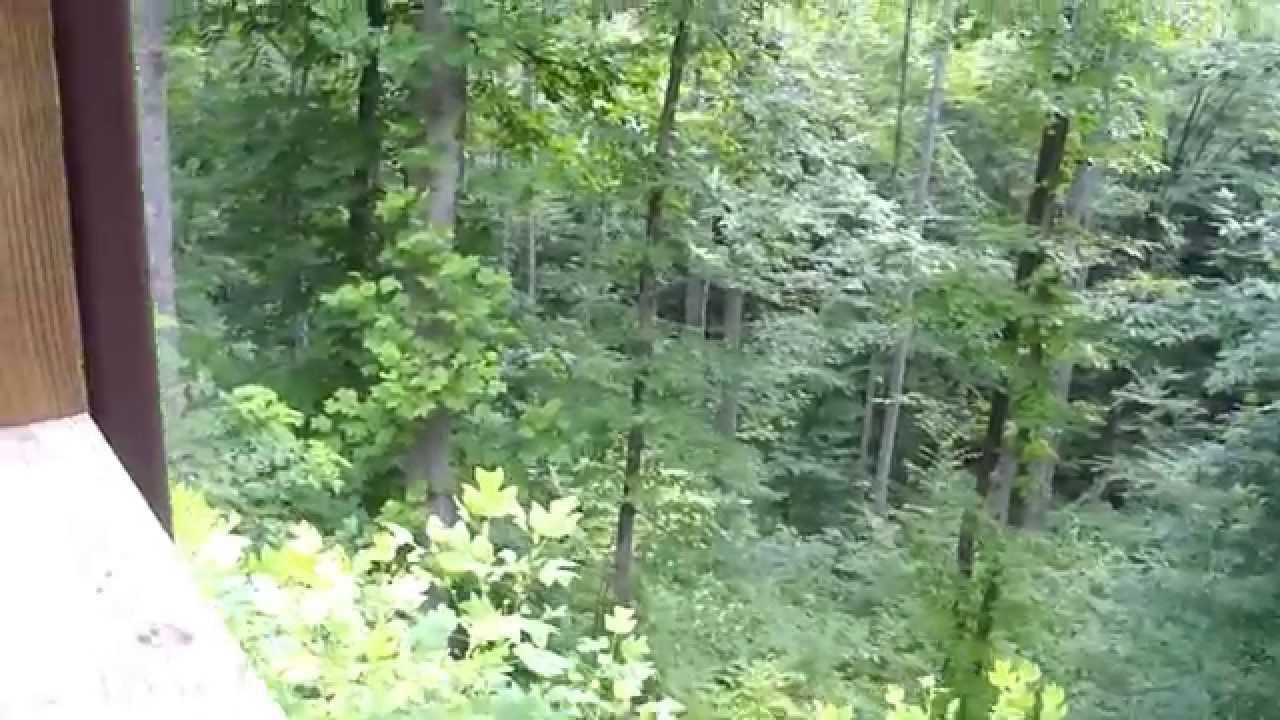 Lydia Mountain Cabins Shenandoah - Mountain Paradise - YouTube