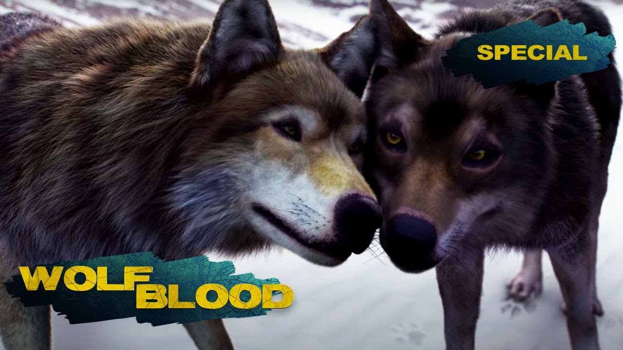 Wolfblood | First and Final Appearances, Volume 1 - YouTube