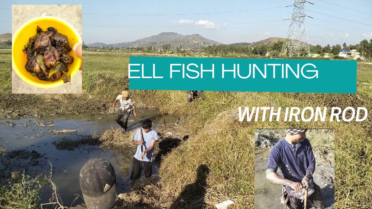 eel fish hunting with iron rod@Maring Style eel fish hunting - YouTube