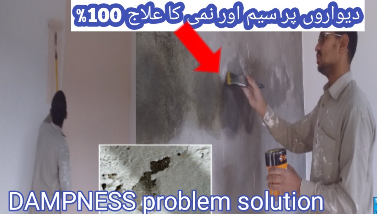 wall dampness waterproofing100%/wall dampness treatment /wall dampness ...