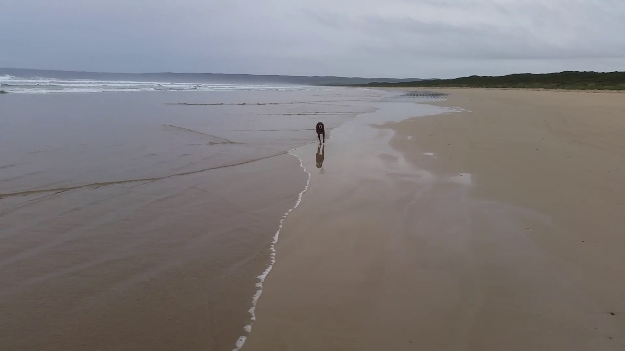 Otto Titzling Beaches