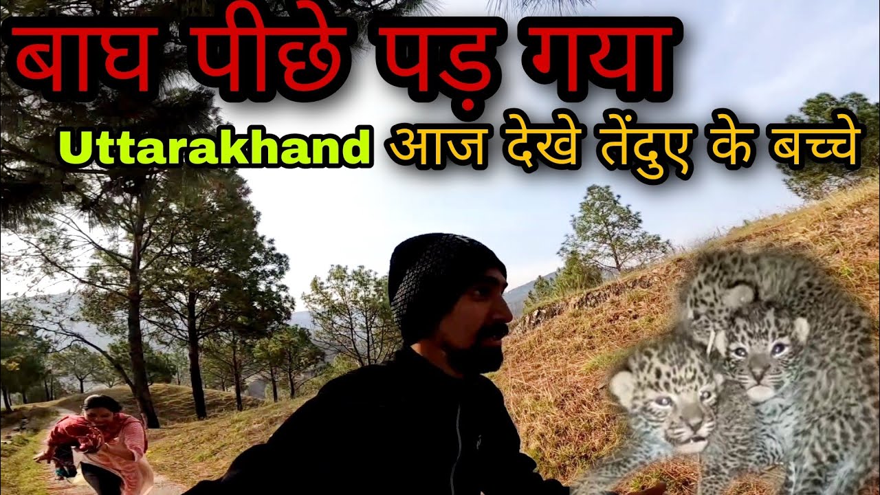 Uttarakhand Village Doba Almora | आज देखे तेंदुए के बच्चे | Tiger piche ...