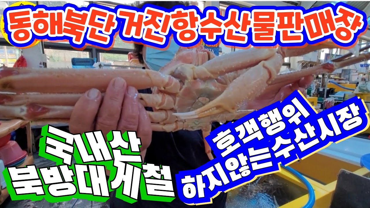 동해북부 거진항 수산물판매장 최신시세 견문록 모조리 공개♡삶0927/Geojin port fish market, korea ...