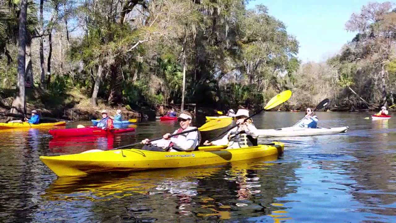 Kayaking - Steinhatchee River (TDC Video) - YouTube