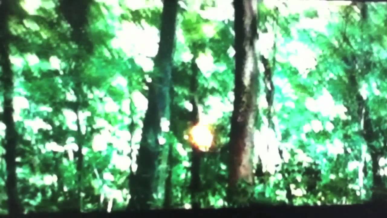The Hunger Games Arena Scenes - YouTube