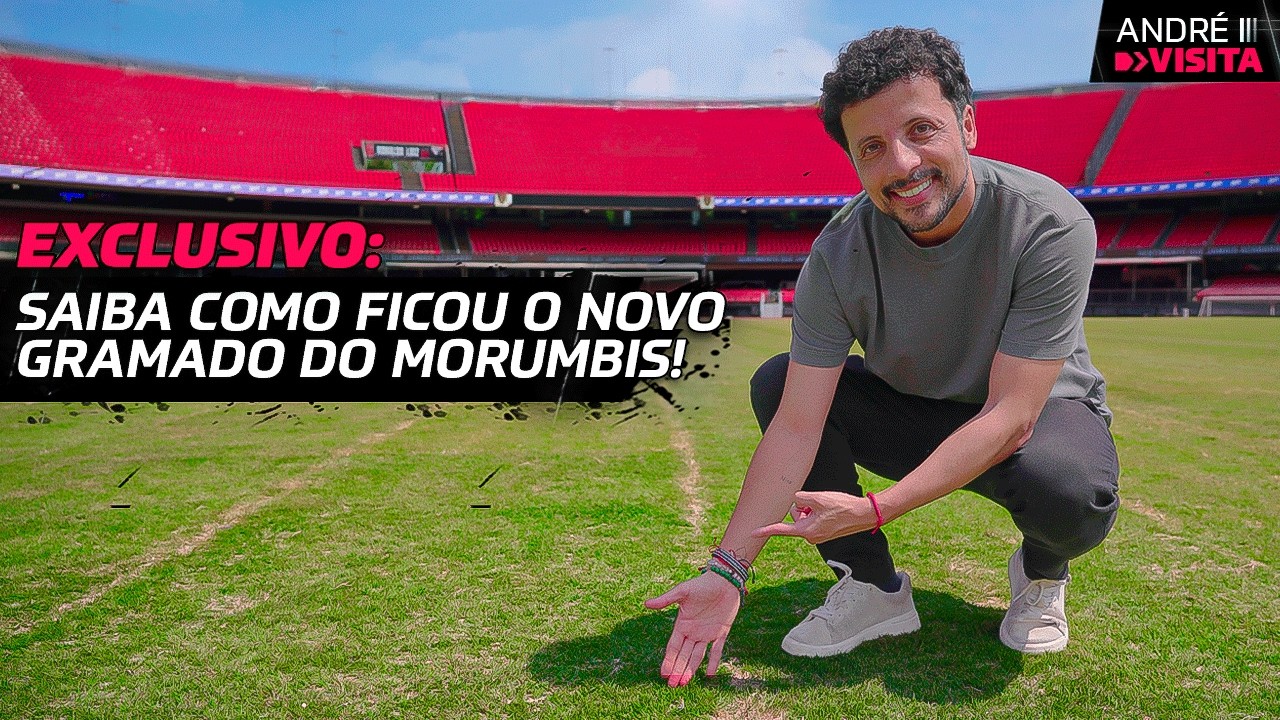 SAIBA COMO ESTÁ O NOVO GRAMADO DO MORUMBIS PARA OS JOGOS DO SÃO PAULO ...