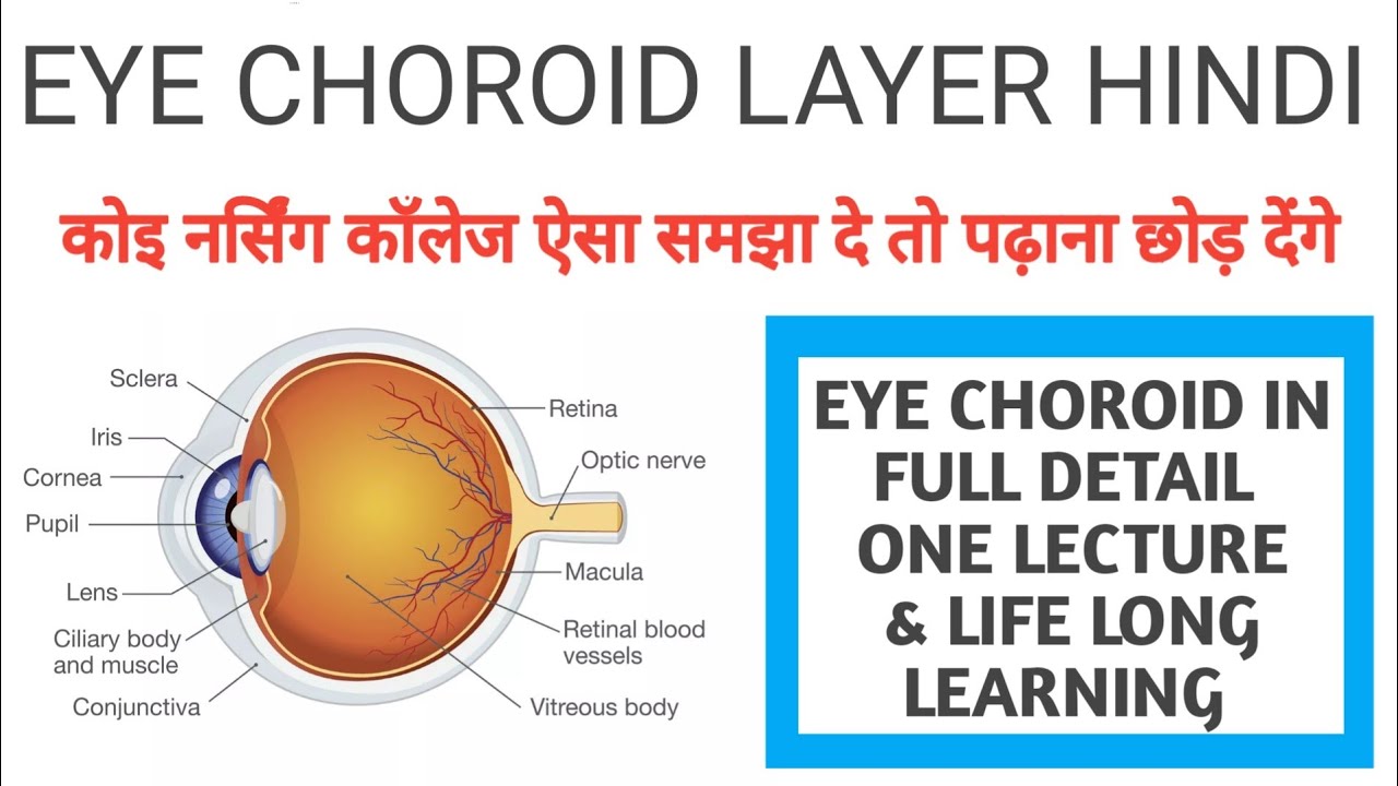 Eye in Hindi || Eye Choroid | Eye Anatomy in Hindi || Human Eye ...