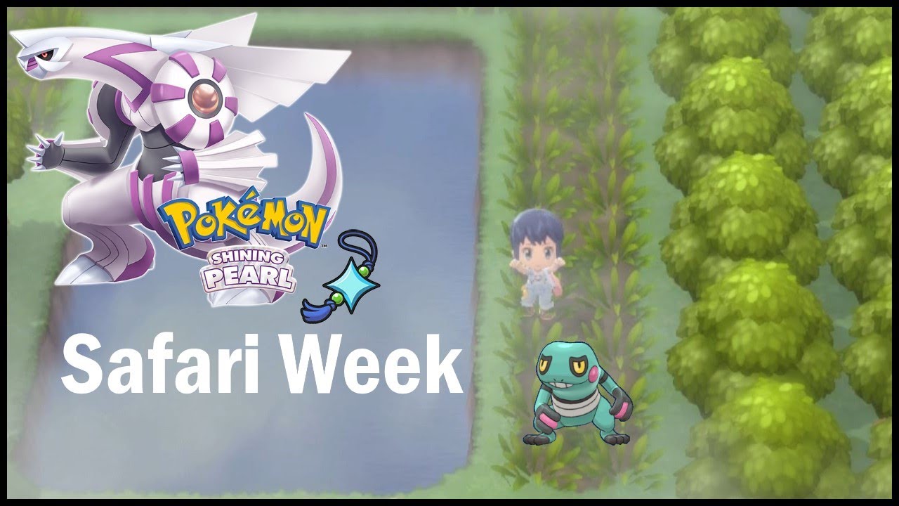 Pokémon Shining Pearl - Safari Week Shiny Hunt - YouTube