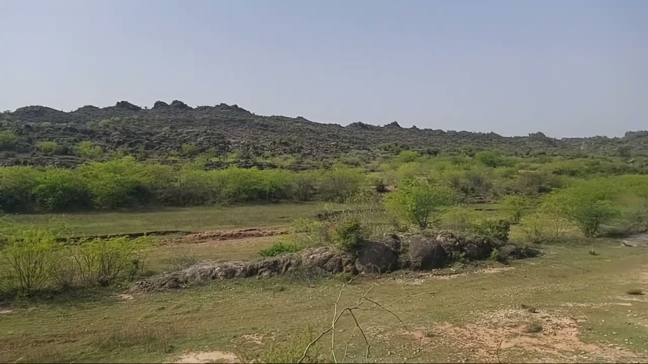 Beautiful Views at Mohri | Simple village life - YouTube