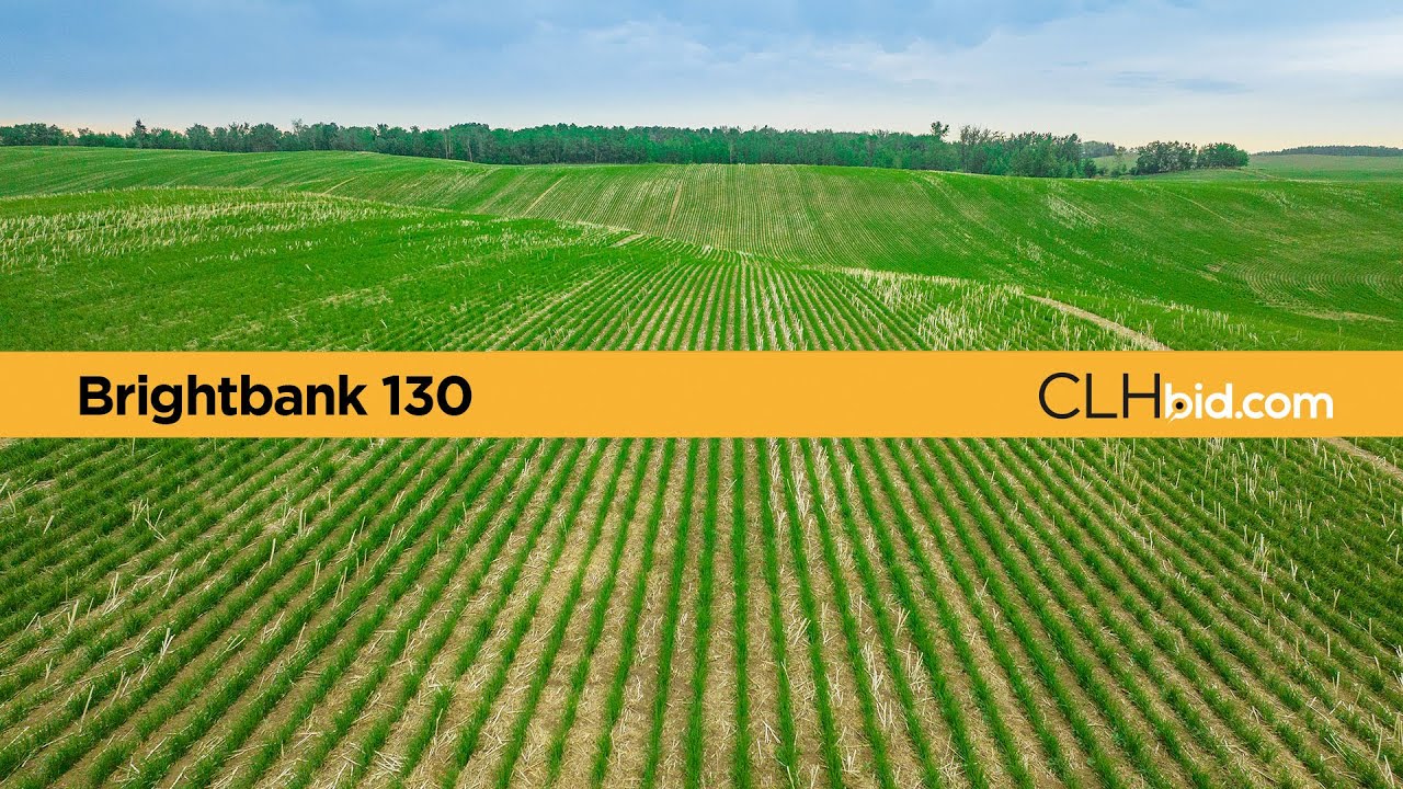 CLHbid.com - Brightbank 130 - YouTube