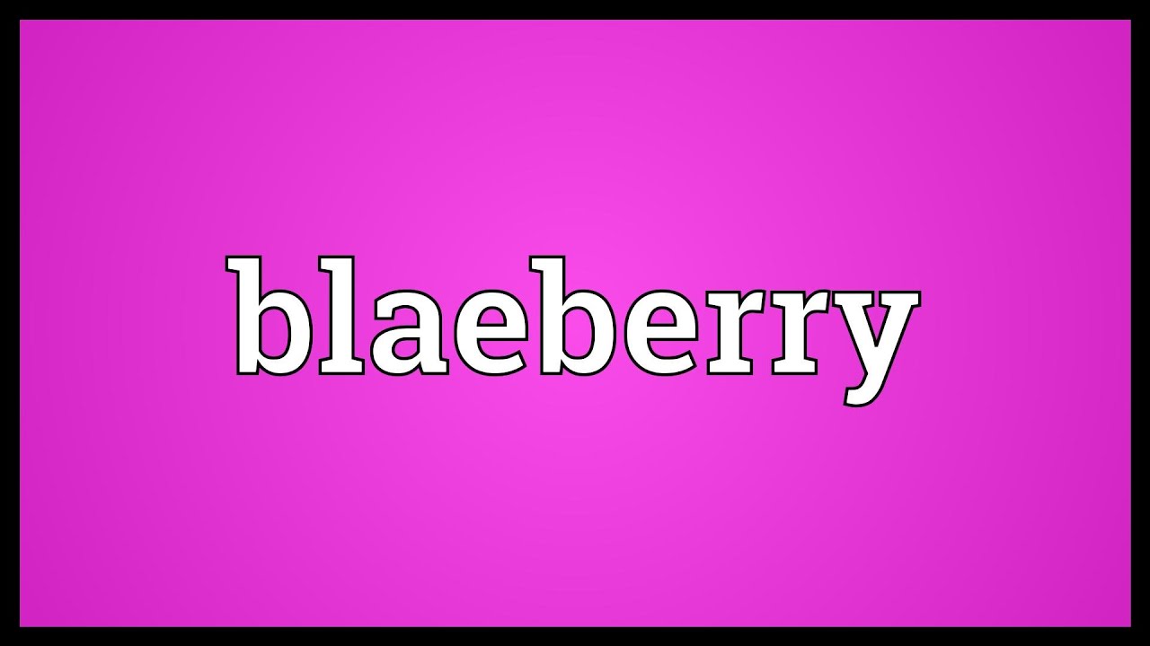 Blaeberry Meaning - YouTube