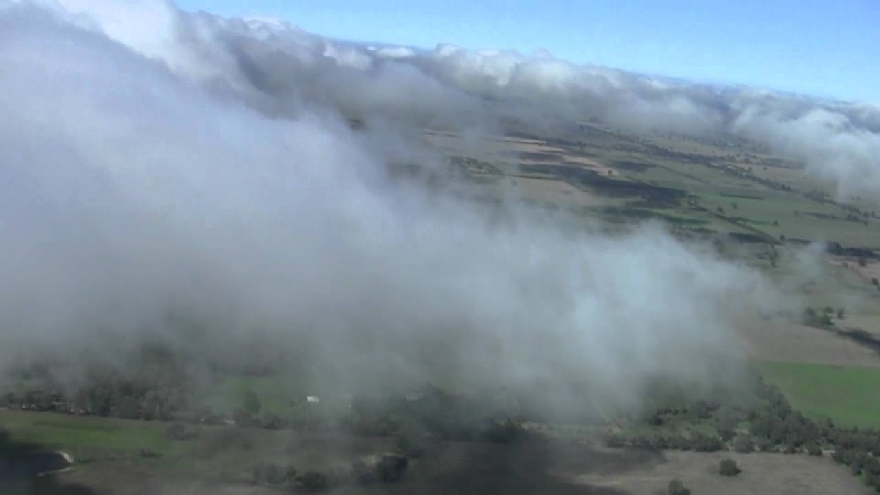 Empty Field Myopia - YouTube