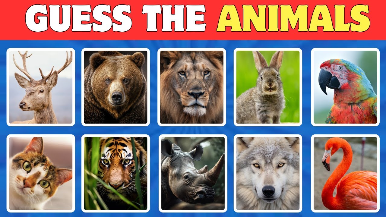 Guess the Animals | Guess 50 Animals | Quiz Game 🐱 - YouTube
