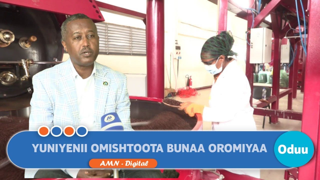 YUNIYENII OMISHTOOTA BUNAA OROMIYAA - YouTube