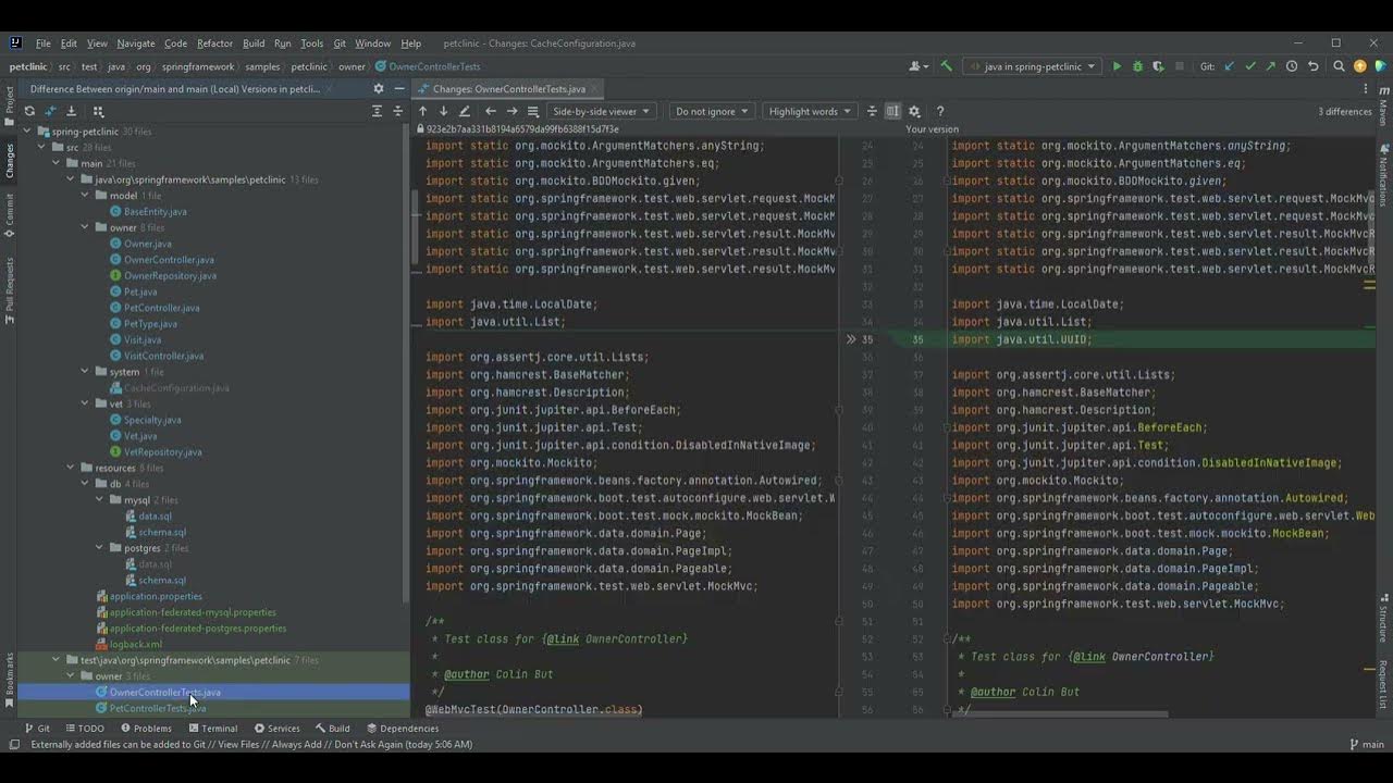Federating Petclinic in Spring Boot #1: Code - YouTube