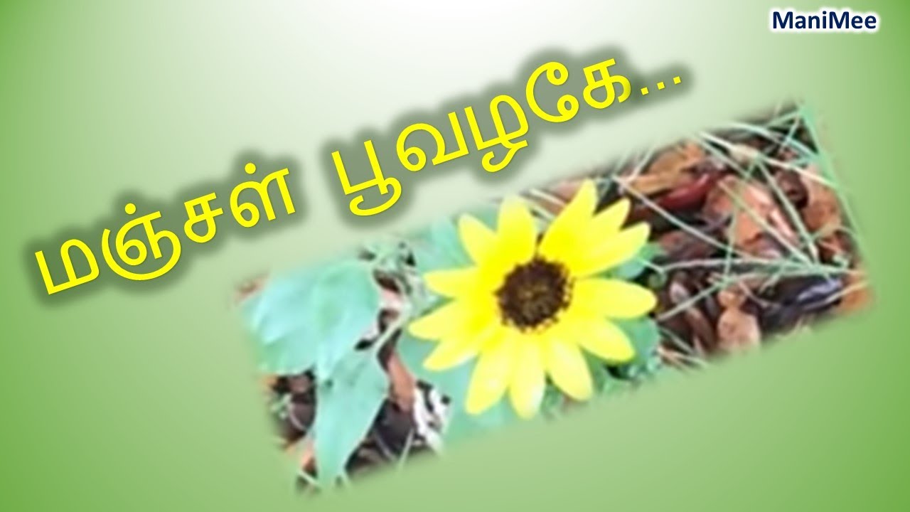 பூ கவிதை | Poo Kavithai in Tamil | MeeManikandan - YouTube