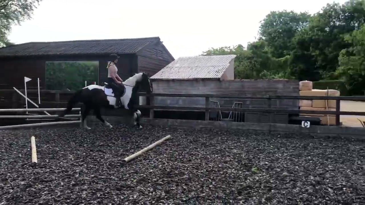 Maisiestarsessions