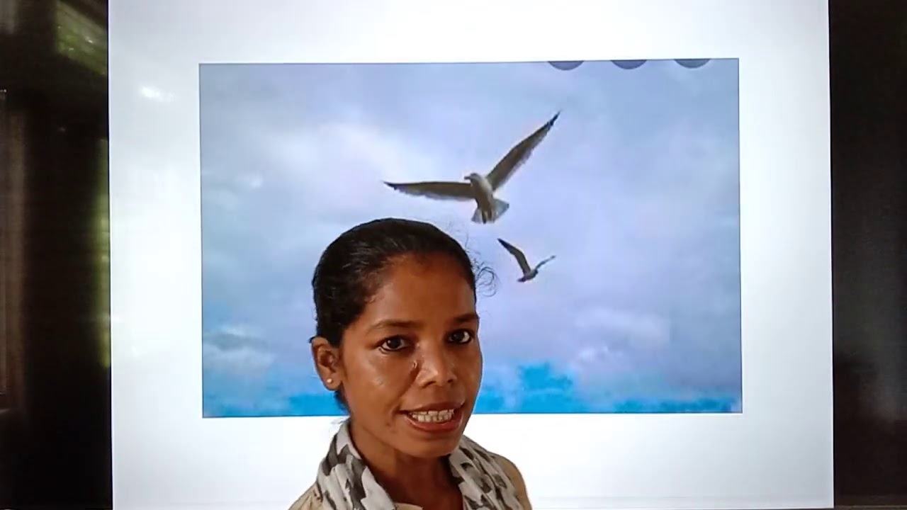 ONLINE LEARNING - 135 / CLASS II / 3RD LANG / HINDI / BULBUL KE BACHE ...
