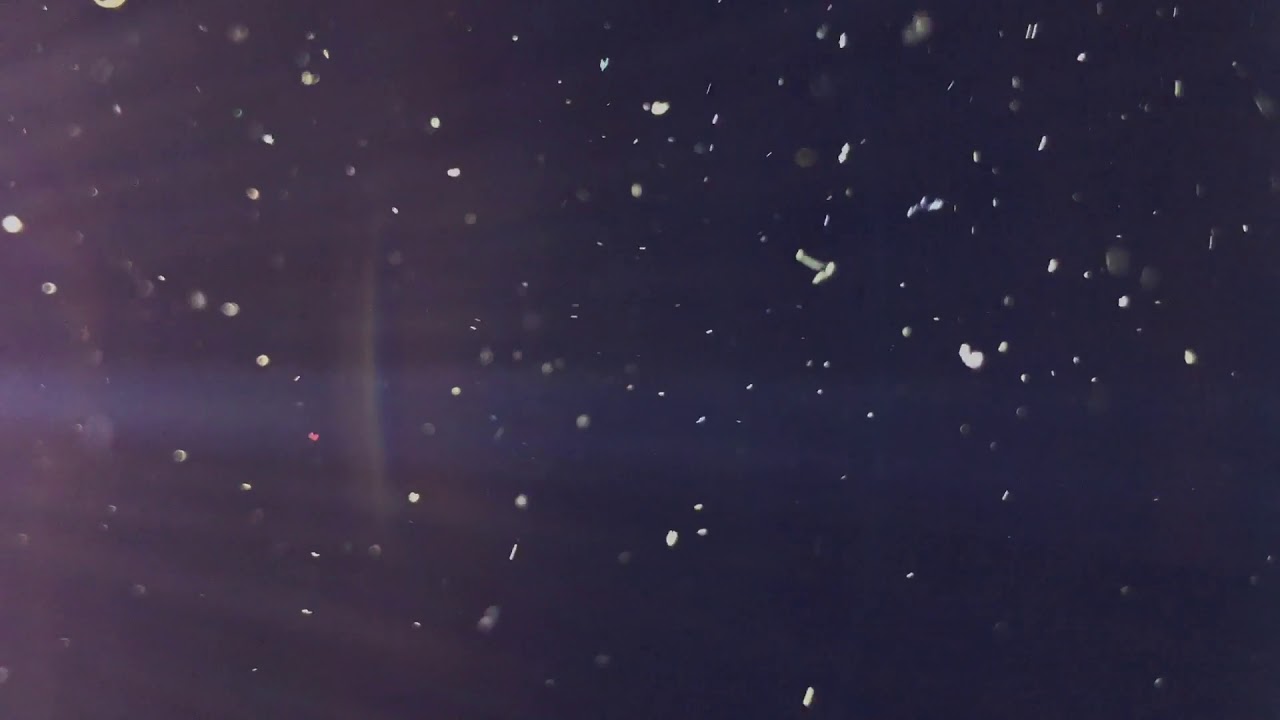 Shimmering Dust Moving Through Sunlit Air Inside A Room With Cold Light ...
