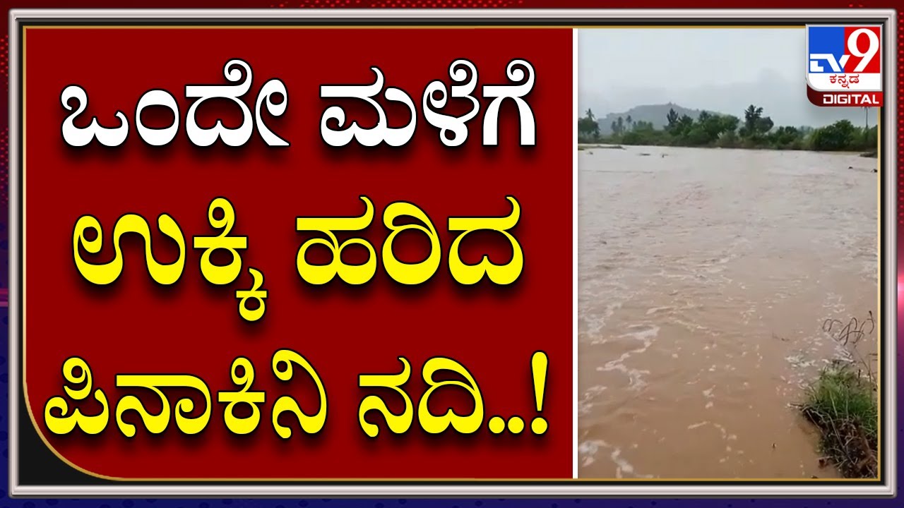 Pinakini River: ಧಾರಾಕಾರ ಮಳೆ ಹಿನ್ನೆಲೆಯಲ್ಲಿ ಉಕ್ಕಿ ಹರಿಯುತ್ತಿದೆ ಉತ್ತರ ...