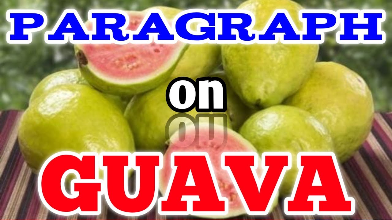 Paragraph on Guava || Essay On Guava || Guava Essay In English To ...