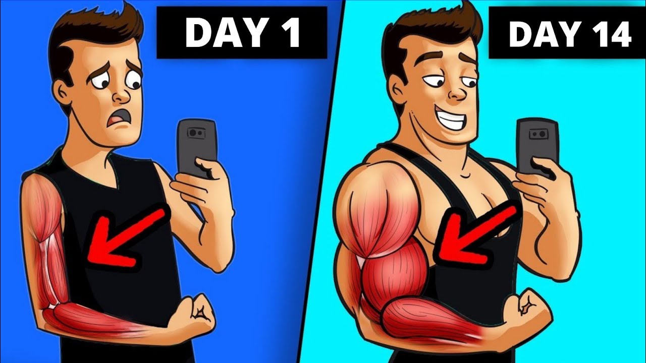 5 Min Exercises To Build Bigger Arms At Home No Equipment Youtube