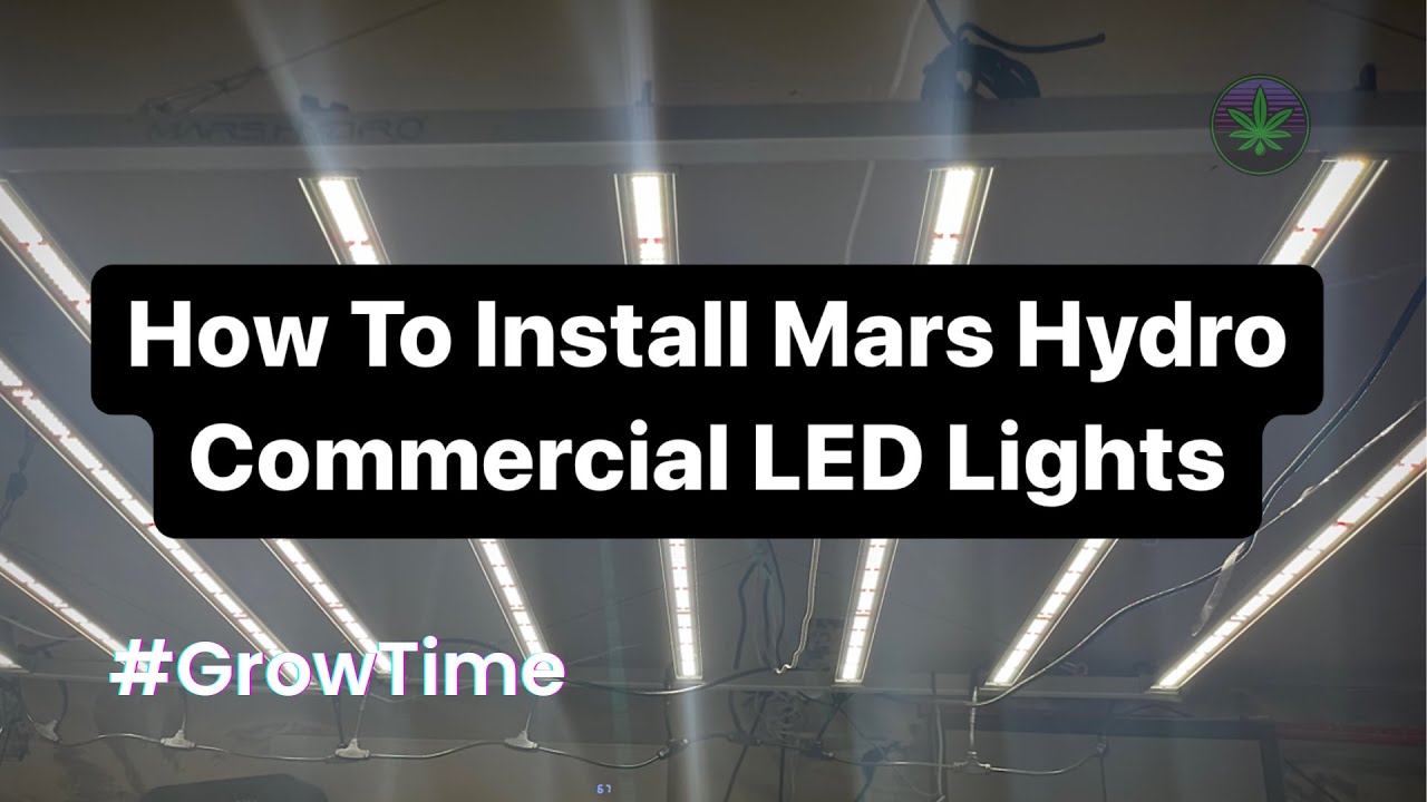 How To Install Mars Hydro Commercial LED Lights I Grow Time I Ep #4 ...