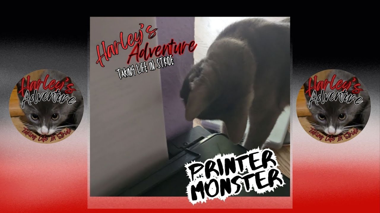 Printer Monster Music Lyrics - YouTube