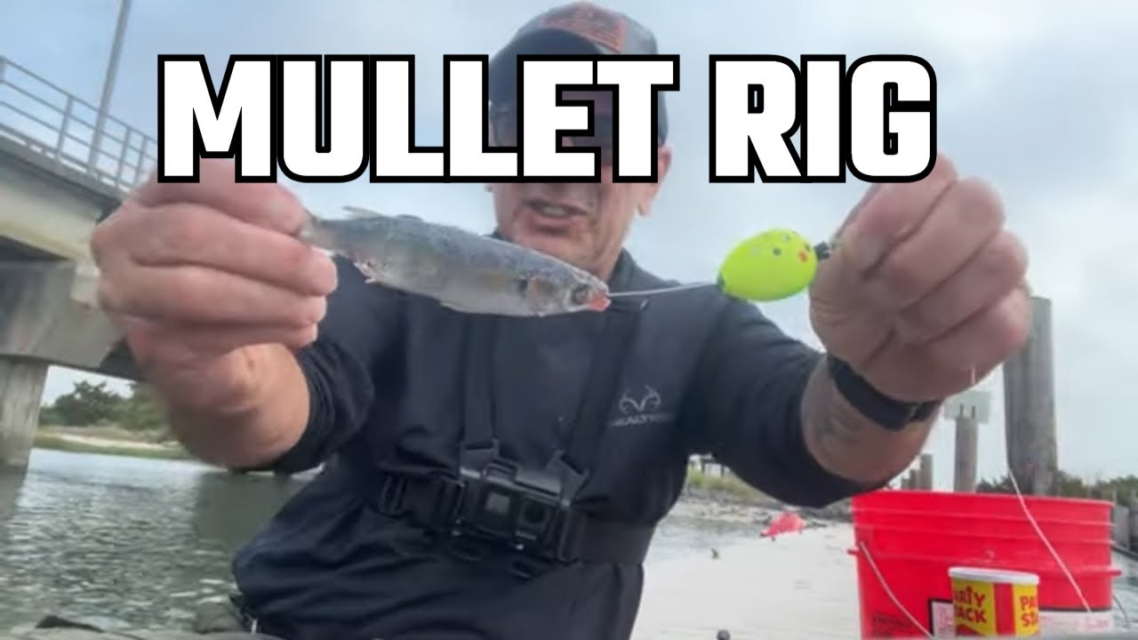 Catch More Fish With This Mullet RIG Trick!! - YouTube