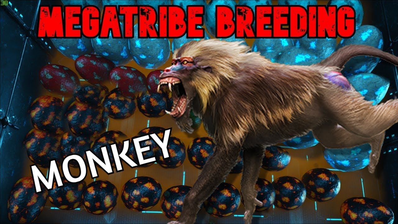 MegaTribe Life #22 - Demon Monkey | Ark Official PvP 🍭 - YouTube
