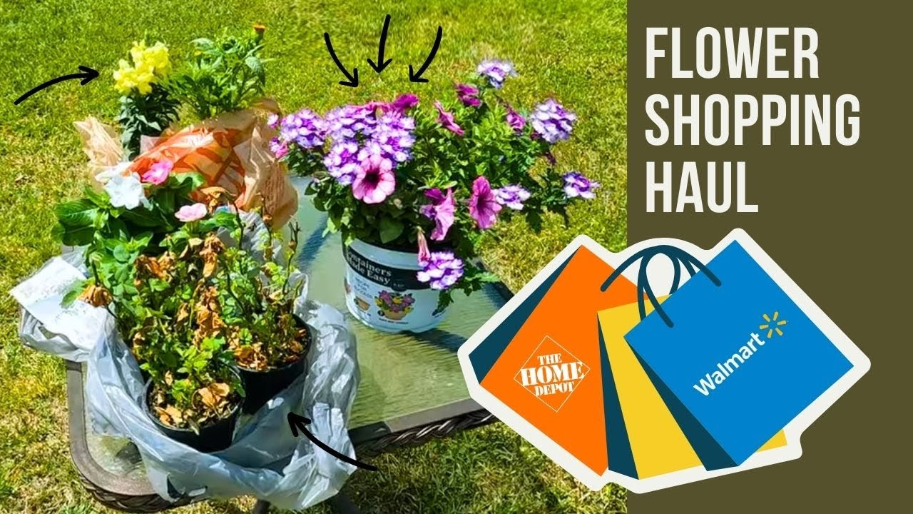 Clearance, Snapdragons, Vinca and More - YouTube