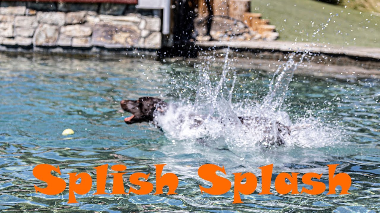SPLISH SPLASH 2022 - YouTube