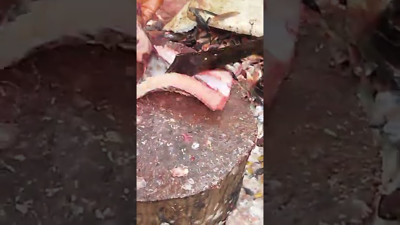 Rohu Fish Big Rui Fish Skinning And Chopping By Expert Fish Cutter # ...