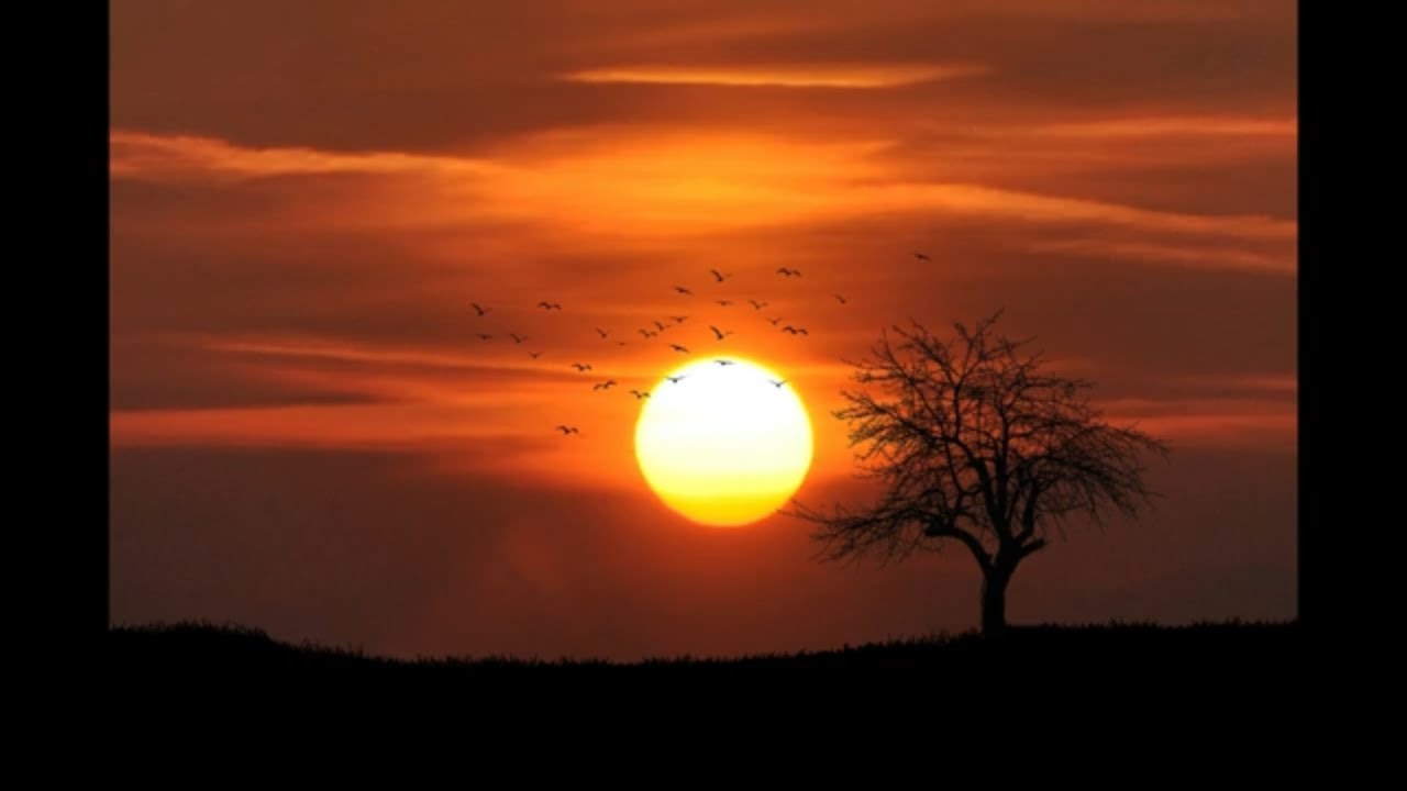 When She Dances - Ritchie Everett - YouTube