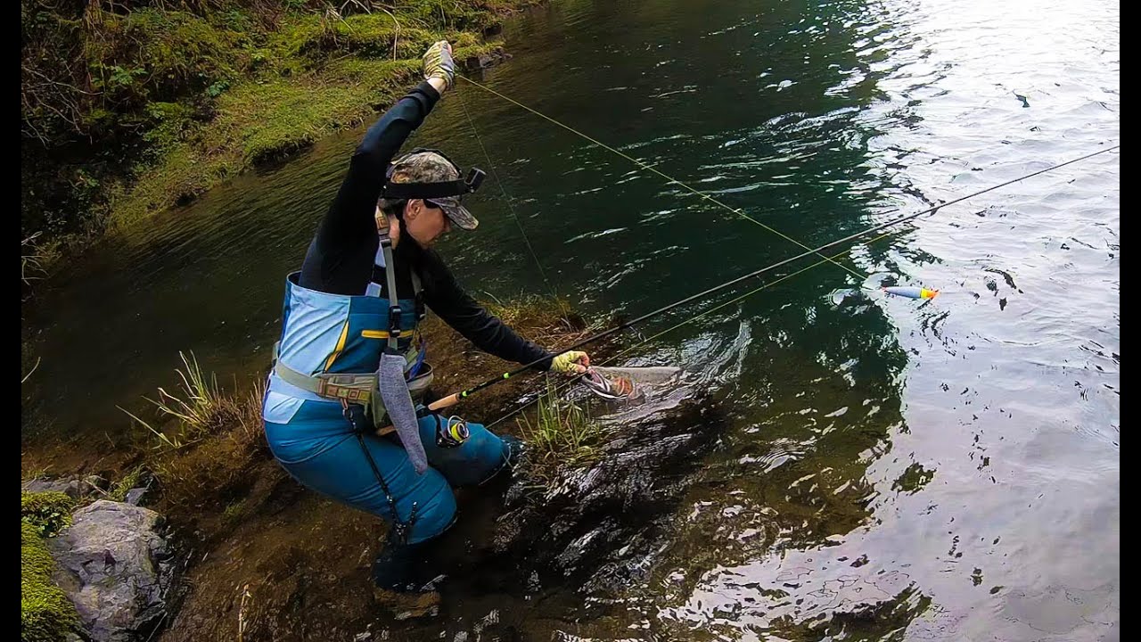 Steelhead on continues.. PNW late winter fishing - YouTube