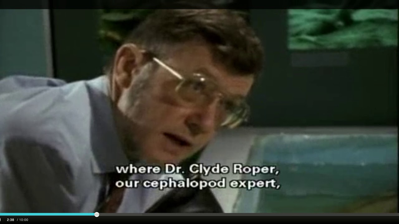 Quest for the Giant Squid - Smithsonian Ocean - YouTube