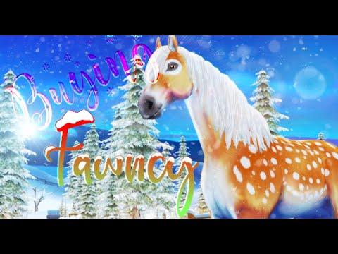 {SSO} - Buying Fawncy - YouTube