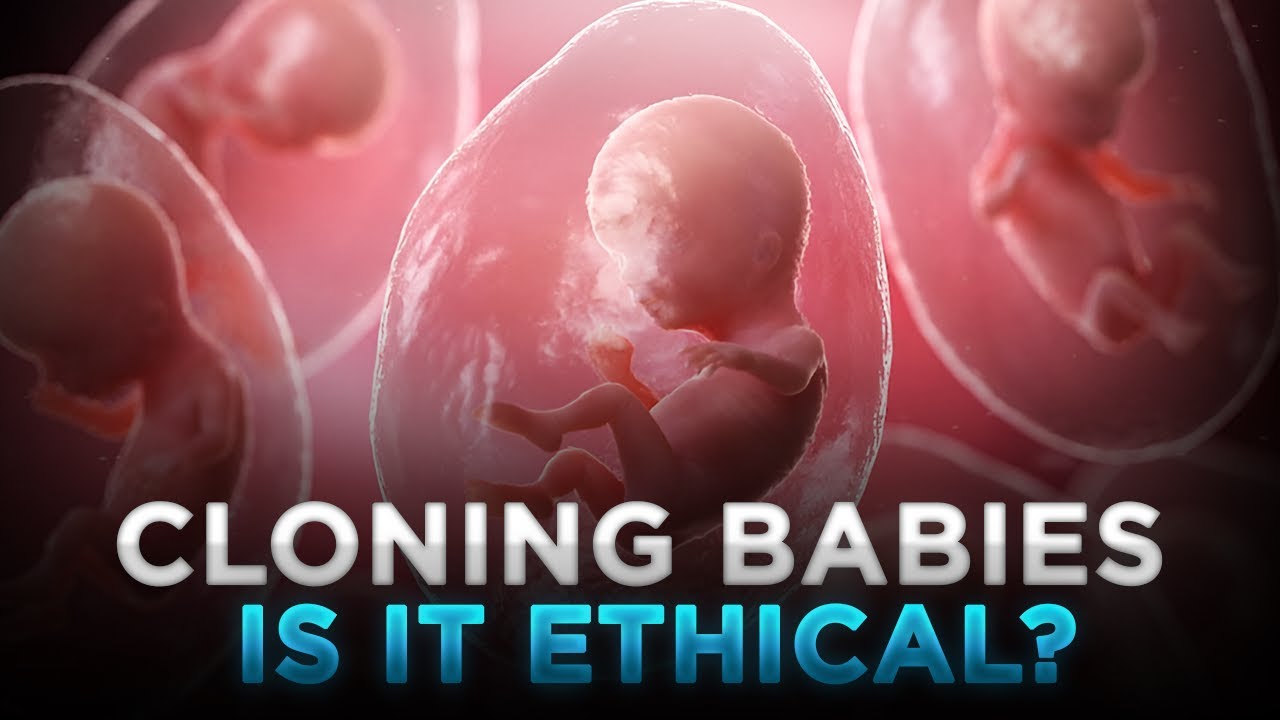 Inside the World of Cloning and Designer Babies: Is it Ethical? - YouTube